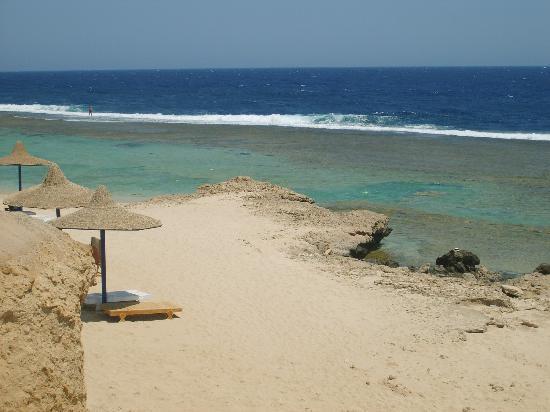 Cinderella Beach Quseir Diving Club 3* - Єгипет - Ola Travel