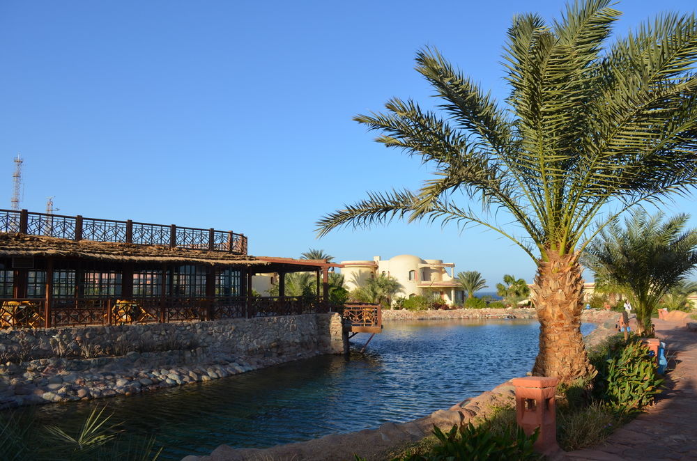 Hauza Beach Resort 4* - Єгипет - Ola Travel