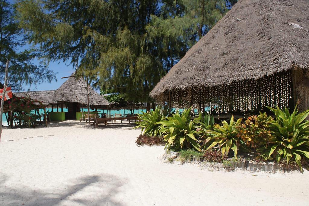 Jambo Beach Bungalows 3* - о. Занзібар - Ola Travel
