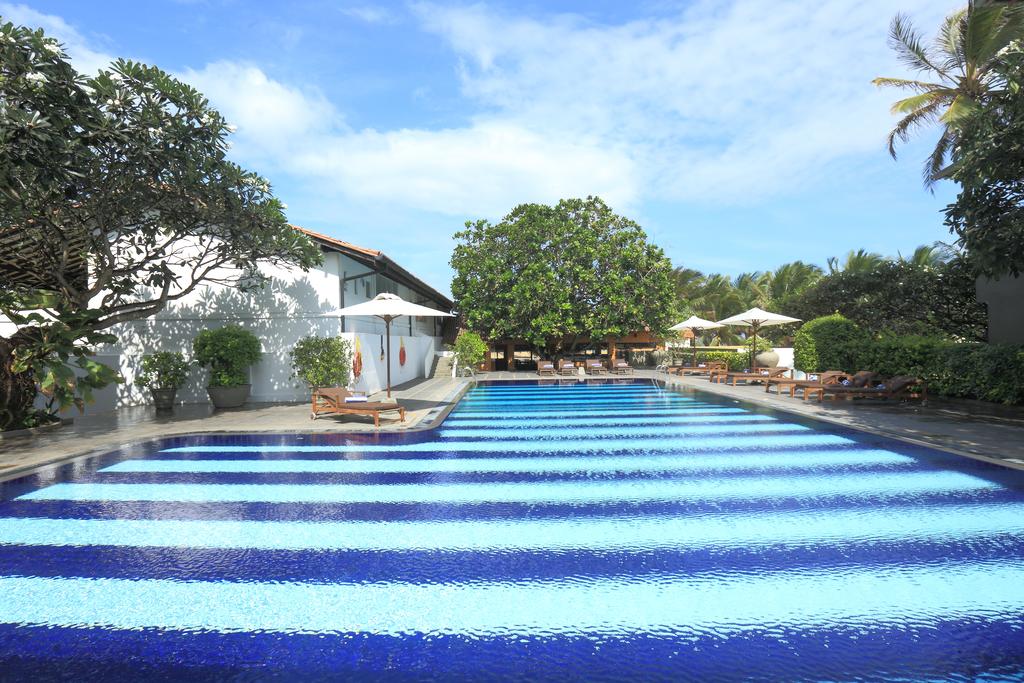 Jetwing Blue 5* - Шрі-Ланка - Ola Travel