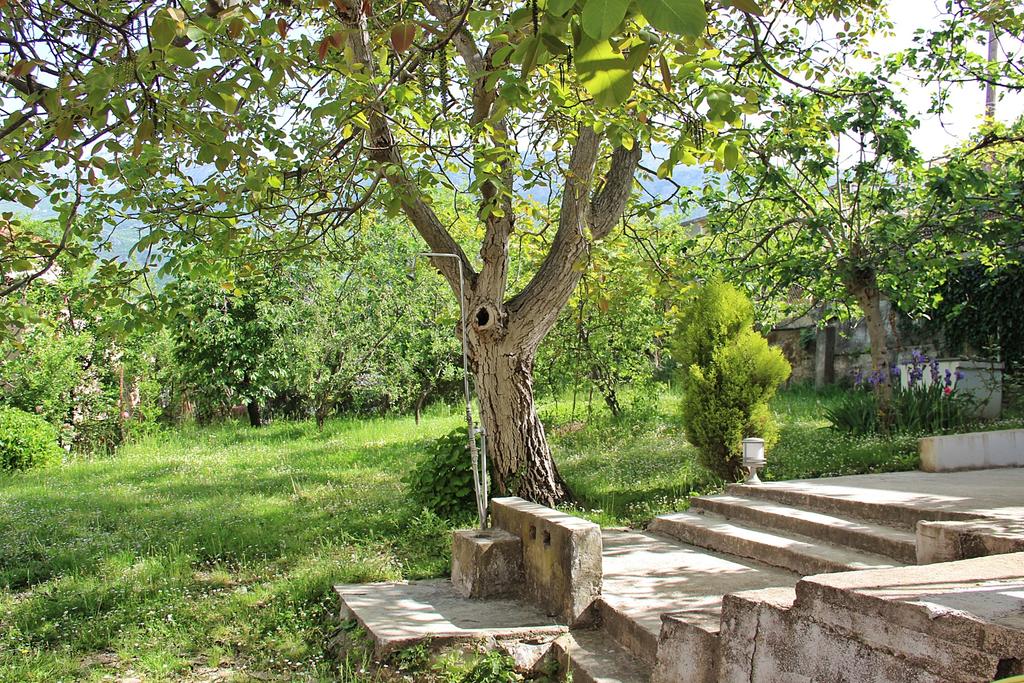 Vojinovic 2* - Чорногорія - Ola Travel