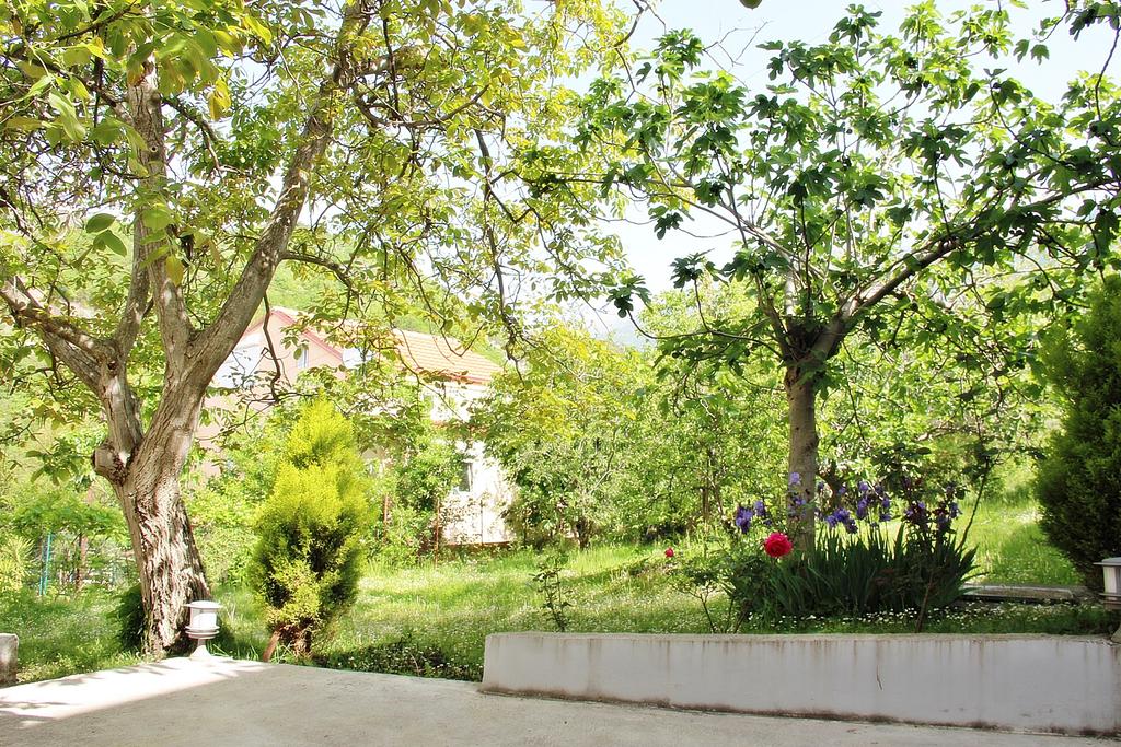 Vojinovic 2* - Чорногорія - Ola Travel